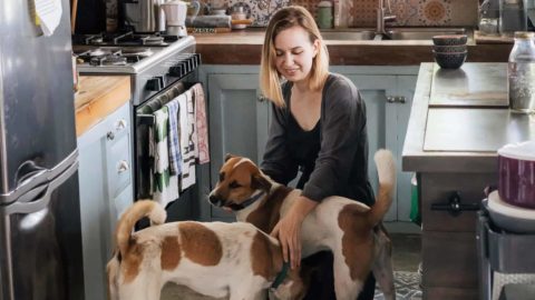 What is An Alley Way Kitchen Definition?