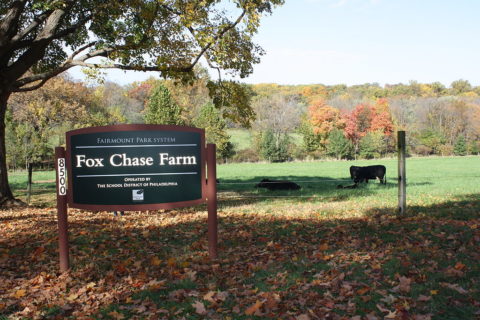 1-Bedroom Apartments That Rent For Under $1,500 in Philadelphia